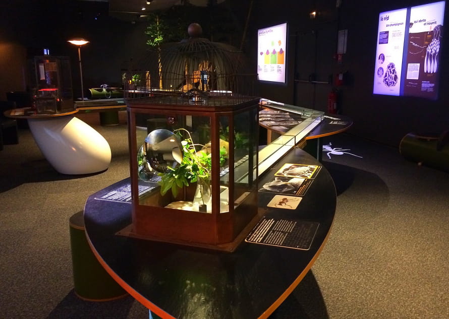 Le Pavillon des sciences ou la science pour les enfants | Doubs ...